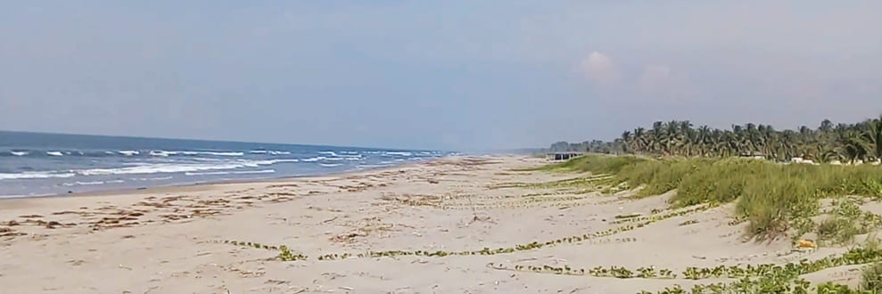 Playas de Centla en Tabasco