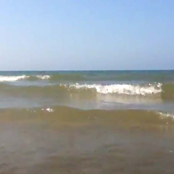 Playas de Centla