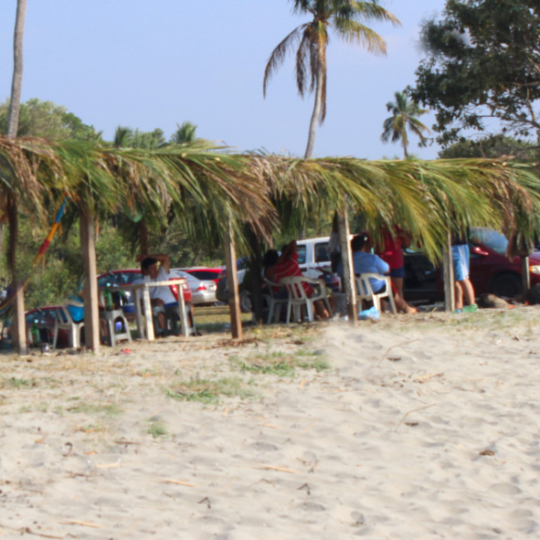 Playas de Centla
