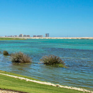 Islas del Mar Puerto Peñasco - Destinos México