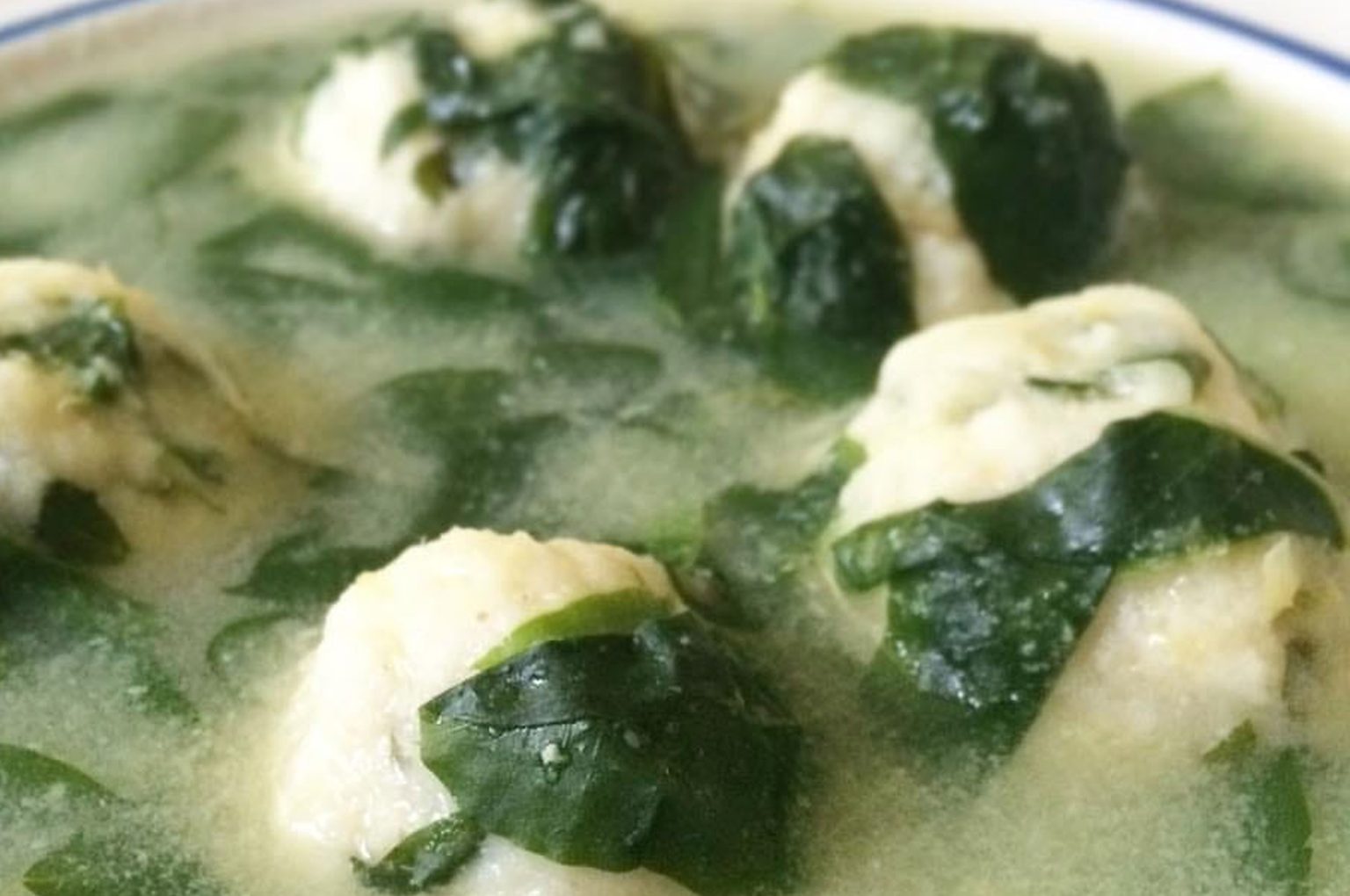 Gastronomía de Ocozocoautla de Espinosa - Destinos México